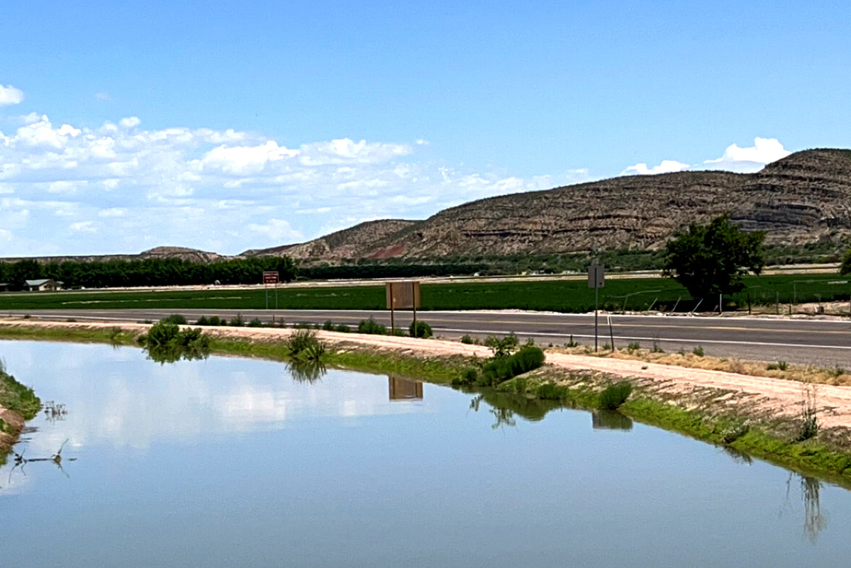 See What We see in Our Beloved Hatch Valley!