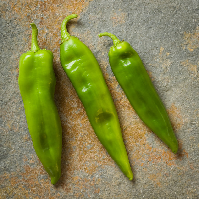 What is Hatch Chile? – Hatch Chile Store