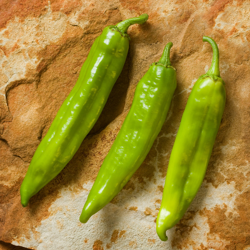 What is Hatch Chile? – Hatch Chile Store